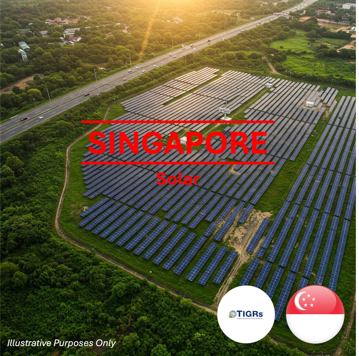 Singapore Solar TIGRs V2024 RECs – Malaysia Carbon Credit & RECs Platform